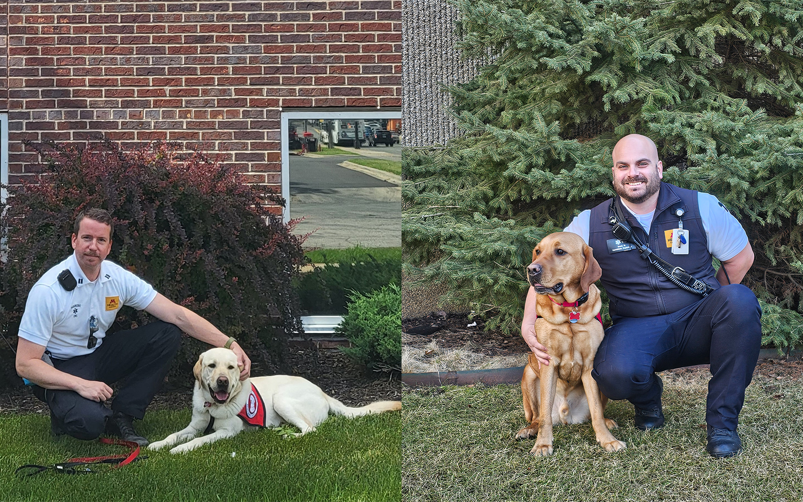 EMS Facility Dogs Blog